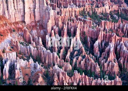 Sunrise at Bryce Point lookout in the Bryce Canyon National Park. Utah ...