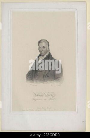 BEWICK AT WORK Stock Photo - Alamy