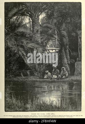 SPRING OF MOSES, EGYPT Stock Photo - Alamy