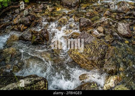 Rapid mountain stream close-up Stock Photo - Alamy