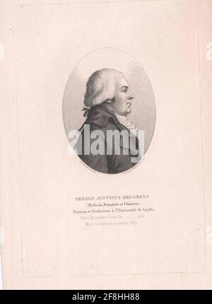 Brugmans Sebald Justinus Stock Photo - Alamy