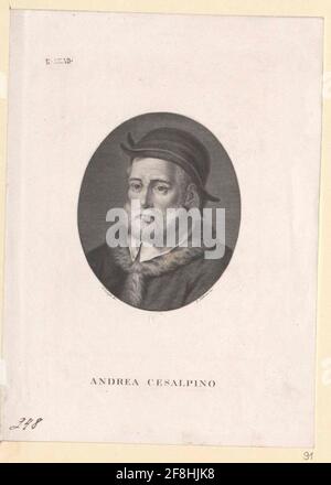 ANDREA CESALPINO (1519-1603) Italian physician,philosopher and botanist ...