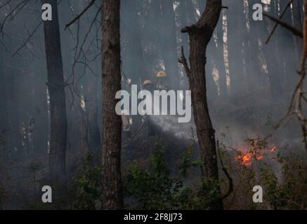 Kathmandu. 14th Apr, 2021. Firefighters try to douse a forest fire in ...