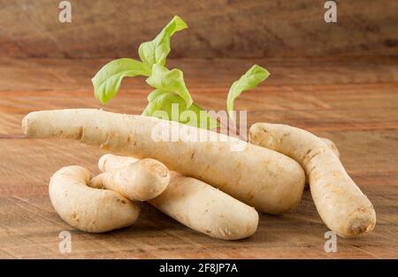 Arracacha (Arracacia xanthorrhiza) isolated Stock Photo - Alamy