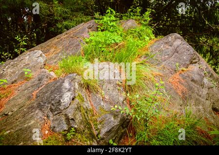 Slate (foliated metamorphic rock, metamorphosed shale Stock Photo - Alamy