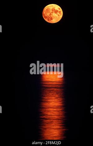 Details of full red moon over dark black sky by night. The total phase ...