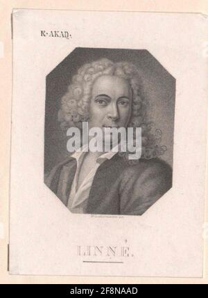 Linné, Charles of Stock Photo - Alamy