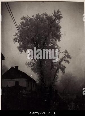 Snowing in Vladimir Wolinsky Stock Photo - Alamy