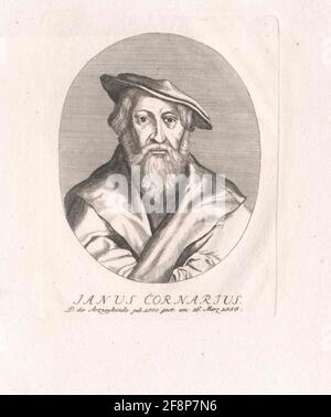 Cornarius, Janus unknown artist Stock Photo - Alamy