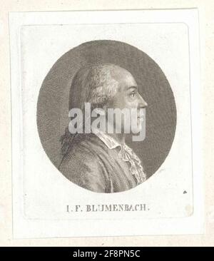 Johann Friedrich Blumenbach was a German physician and anthropologist ...