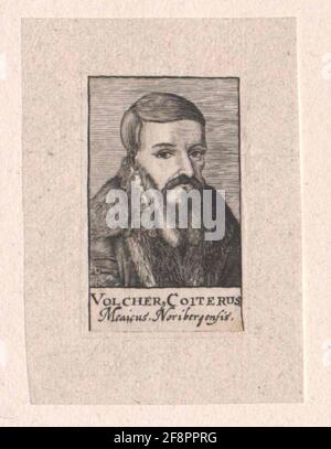 Coiter, Volcher Stock Photo - Alamy