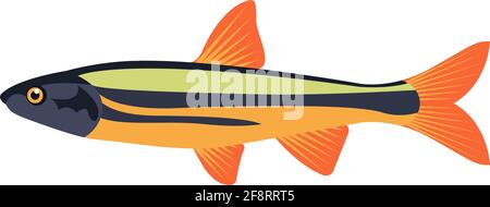 Redfin fish illustration Stock Vector Image & Art - Alamy