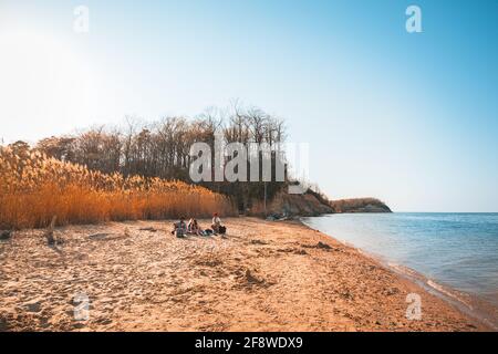 USA Maryland Calvert Cliffs State Park families look for fossils and ...