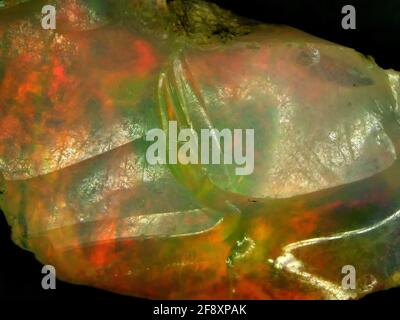 opal of Afrika in a macro shot Stock Photo - Alamy