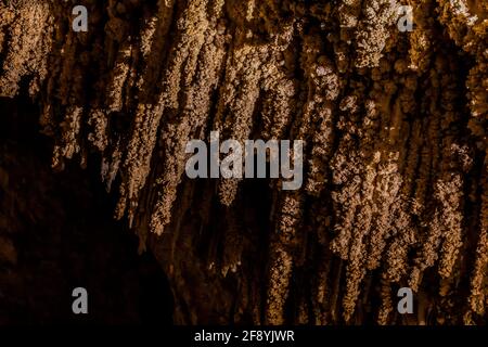 Cave popcorn speleothems in Carlsbad Caverns National Park in southern ...