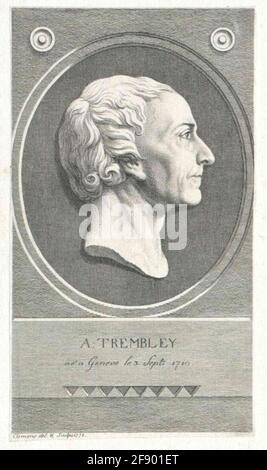 Hydra by Abraham Trembley Stock Photo - Alamy