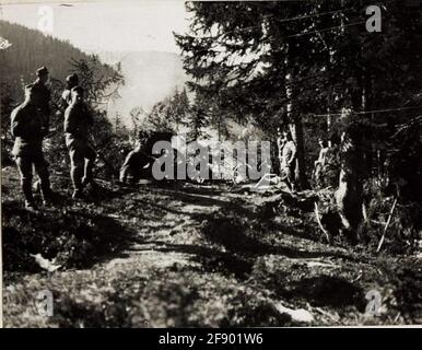 10cm Haifen on Bambesta plateau Stock Photo - Alamy