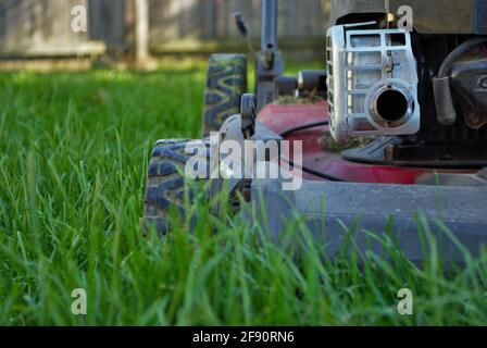 Ground level view of a lawnmower in tall grass Stock Photo - Alamy