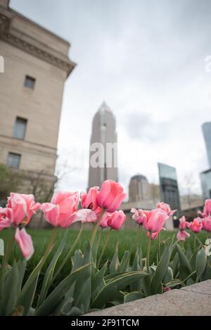 Spring flowers in downtown cleveland Stock Photo - Alamy
