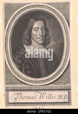 Thomas Willis (1621 - 1675) English doctor who played an important part ...