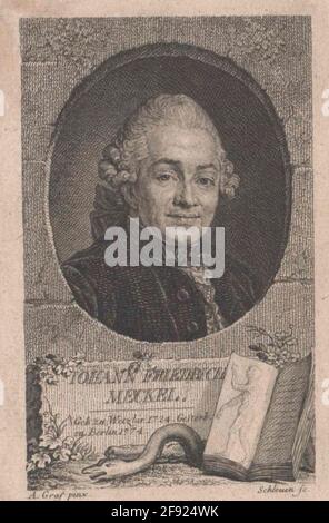 Johann Friedrich Meckel Stock Photo - Alamy