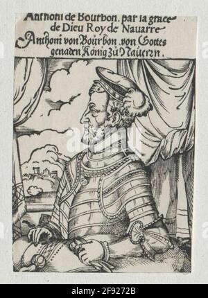 Antoine de Bourbon (1518-1562), King of Navarre. Museum: Muzeum ...