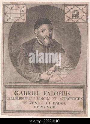 Falloppio, Gabriele Stock Photo - Alamy