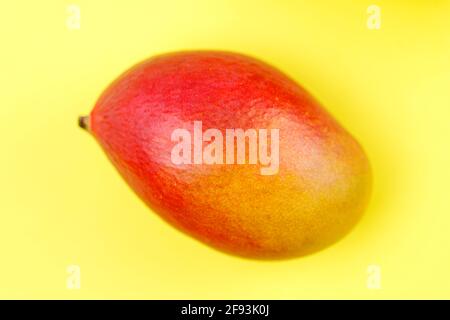 Single ripe mango with golden yellow skin resting on light textured ...
