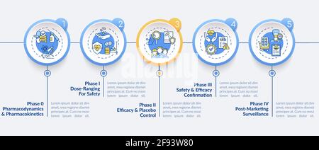 Clinical study phases vector infographic template Stock Vector Image ...