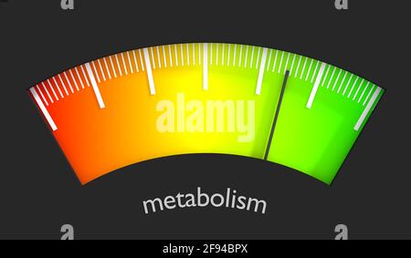Metabolism level scale with arrow. The measuring device icon. Sign ...