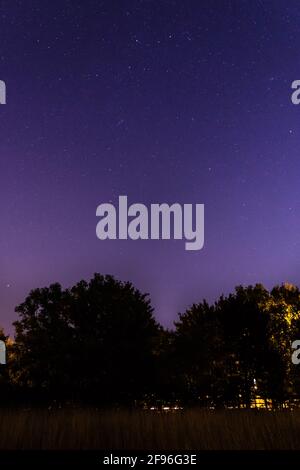 Starry violet sky in english park Stock Photo - Alamy