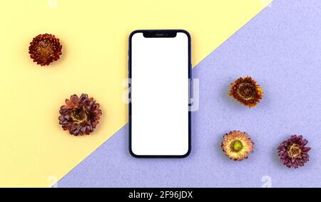 Kharkov, Ukraine - March 26, 2021: vintage and retro Apple iPhonen 12 ...