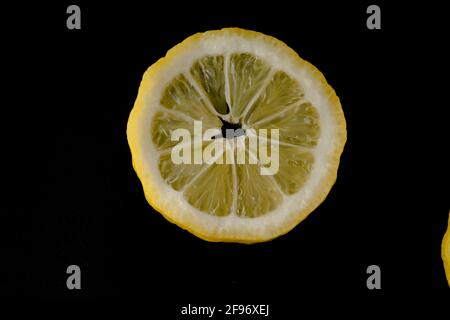 Five lemon slices lined up in a semicircle on a black background Stock ...