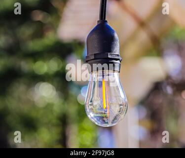 Garden light bulb Stock Photo - Alamy