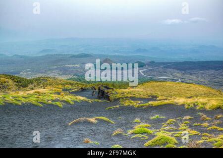 wild vegetation flourishing on slope of mount etna in Sicily, Italy ...
