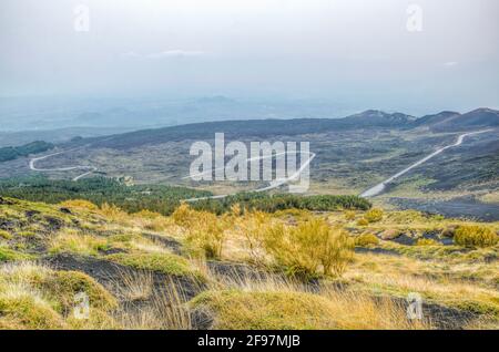 wild vegetation flourishing on slope of mount etna in Sicily, Italy ...