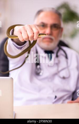 Aged male doctor holding snake at workplace Stock Photo - Alamy