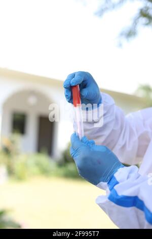 A closeup of a doctor putting a swab in a test tube Stock Photo - Alamy