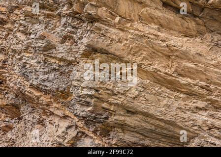 Slate metamorphic rock. Slate is formed when a fine-grained sedimentary ...