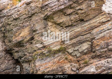 Strata of Mudrocks, it is a silicicastic sedimentary rock include ...