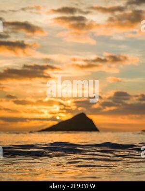 The Great Mewstone Rock Island, Wembury, Devon, UK Stock Photo - Alamy