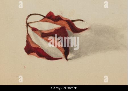 Untitled (Curled Autumn Leaves). Watercolor on paper. Date: 1872 ...