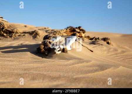 Decomposed camel in deser Stock Photo - Alamy