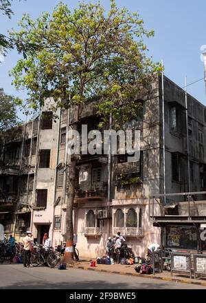 An old residential building in Dadar, Mumbai, India Stock Photo - Alamy