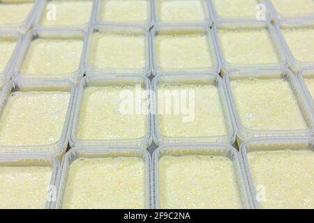 Milky cream wavy surface. Close-up. Milk cream layer texture. Clotted ...