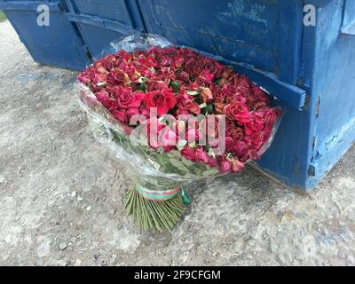 large bouquet of red roses thrown on the street the dump Stock Photo ...