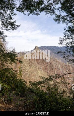 chimney tops from the mountain top look out framed by trees Stock Photo ...