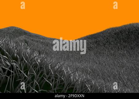 scary black and white high resolution grassy hills isolated on orange ...