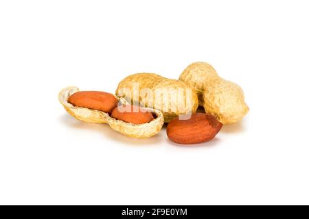 Two peanuts with shell isolated on a white background Stock Photo - Alamy