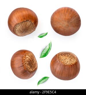 unshelled hazelnuts isolated on white background. healthy food Stock ...